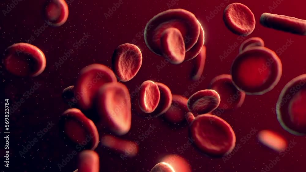 3D rendering red blood cells in an artery, Arterial bloodflow flow ...