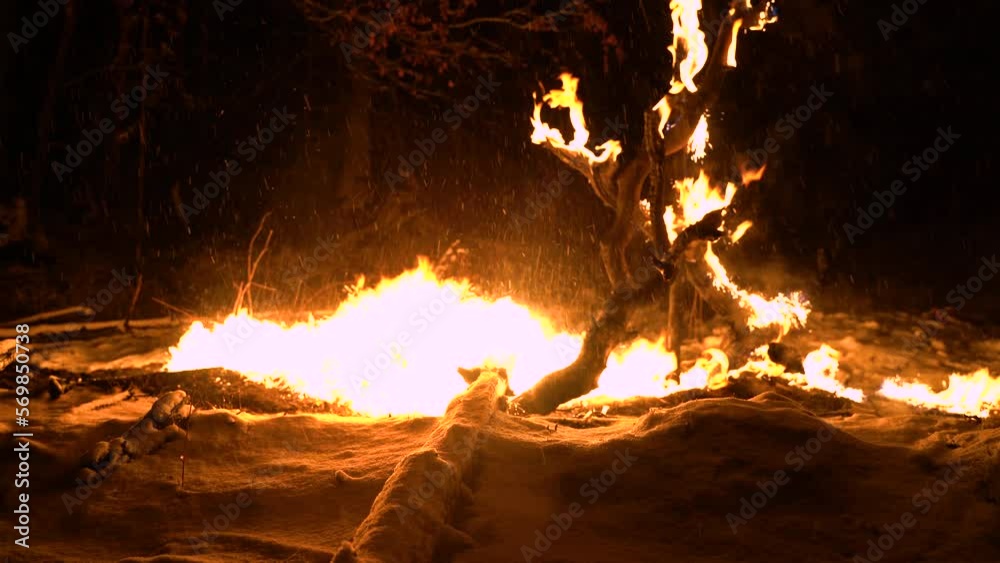 Burning gasoline. Flammable explosive liquid. Fire on black background ...