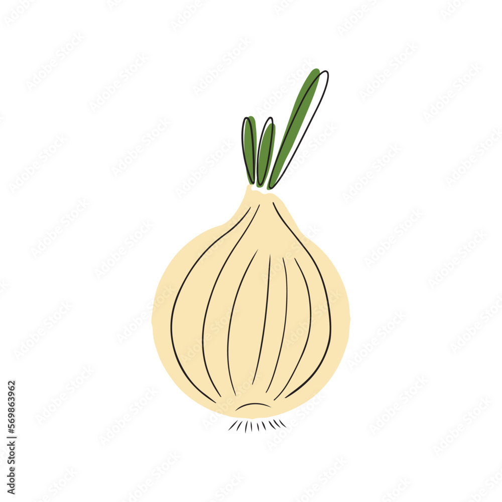 Simple onion flat drawing with black lines isolated on white background ...