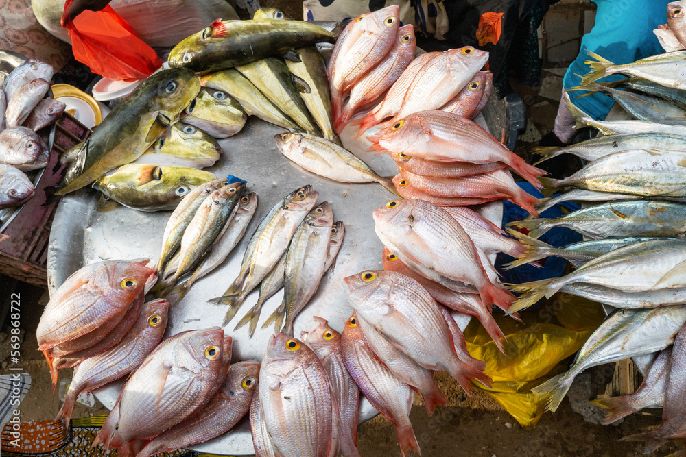 des poissons exposés au marché dans le quartier de Ouakam à Dakar au ...