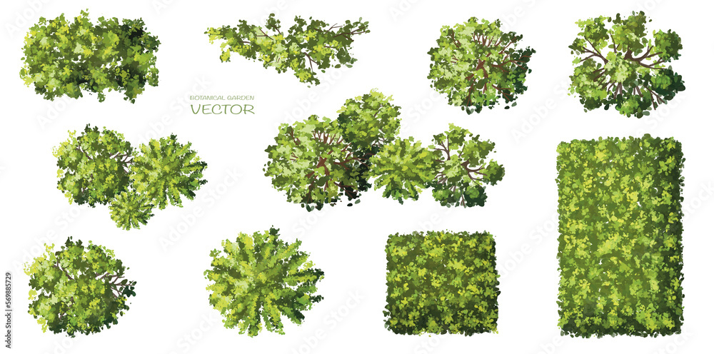 Vector watercolor of green tree top view isolated on white background ...