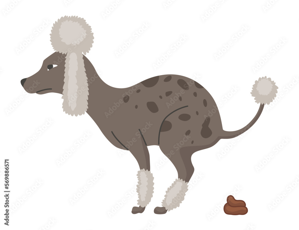 Dog poo clean up, one step infographic. Vector poster about hygiene ...