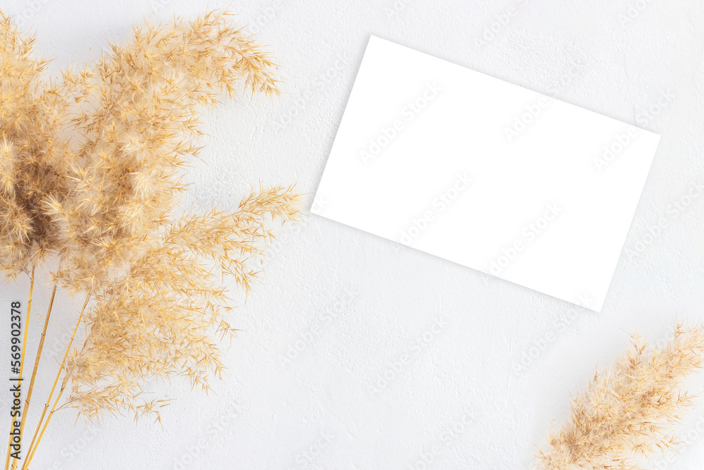 Mock up with blank business card and dried pampas grass on white ...