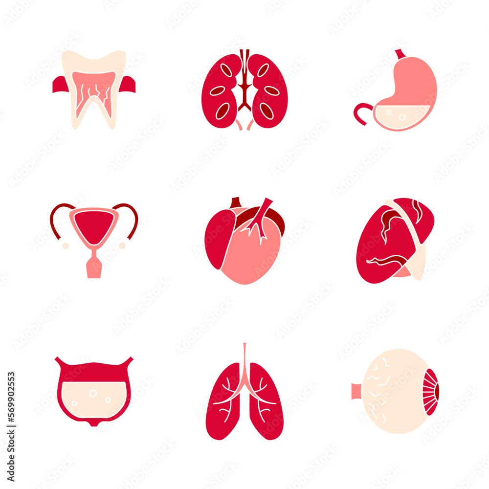 Set of human organs icons flat vector illustrations of human organs ...