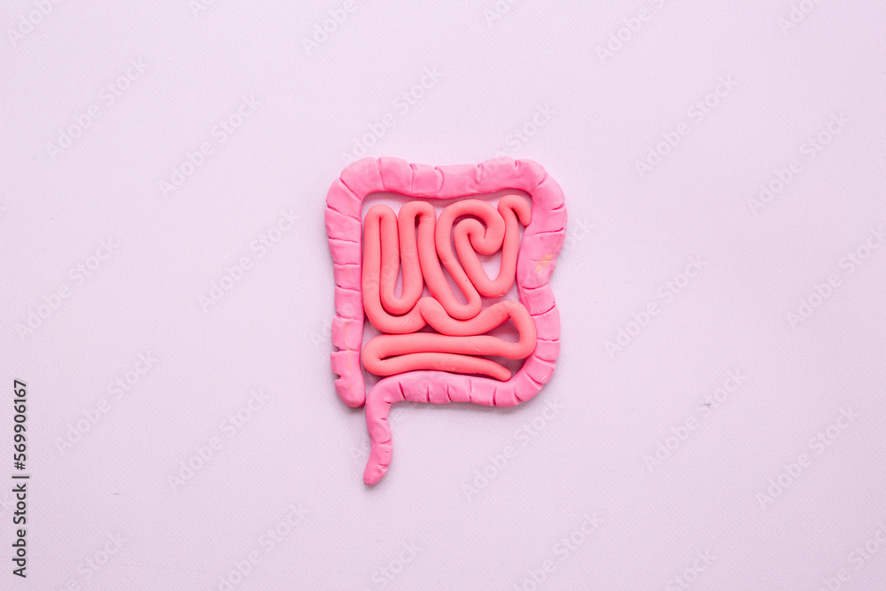 Stomach or intestines colon organ problems. Bowel disease concept ...