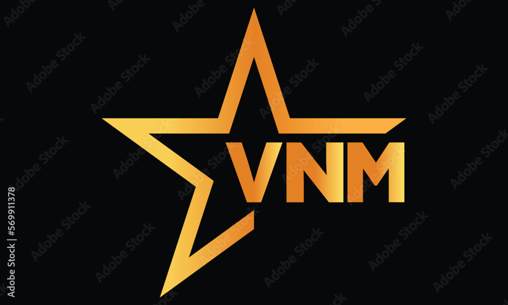 VNM golden luxury star icon three letter logo design vector template ...