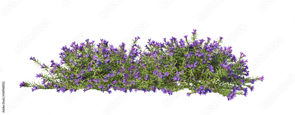 Flowers and shrubs in the garden on a transparent background. Stock ...