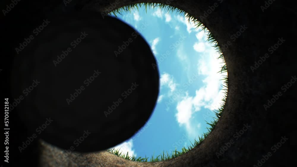 Golf Ball Falling Down into the Hole on Golf Course After Accurate Shot ...