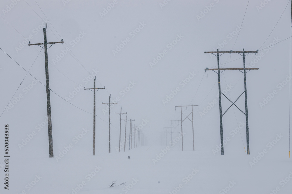 Wooden utility poles and wires over snow in winter with white ...