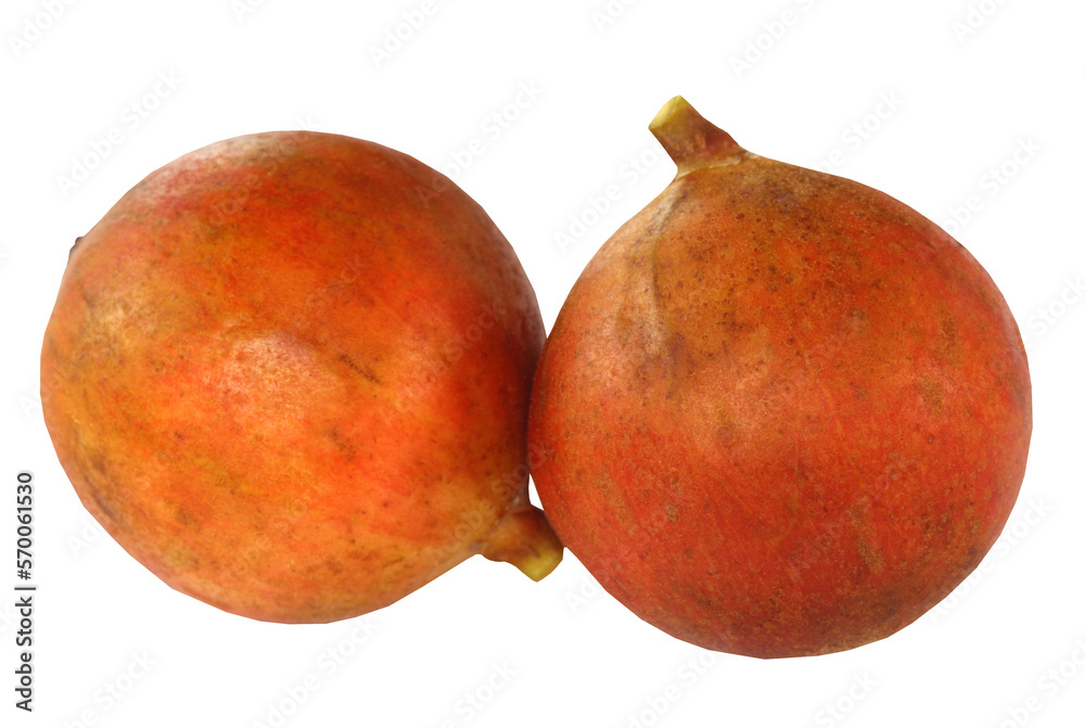 India figs named as Dumur fruits Stock Photo | Adobe Stock