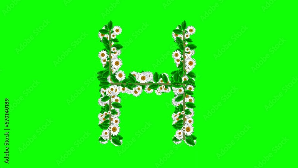 English alphabet H with daisy flowers on green screen background Stock ...