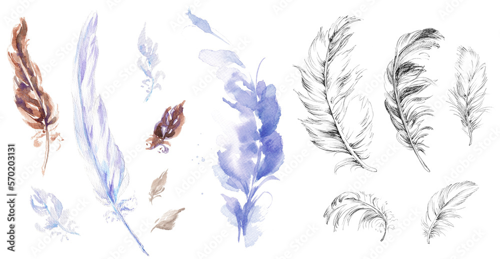 PNG Big set of feathers on transparent background. Watercolor and ink ...