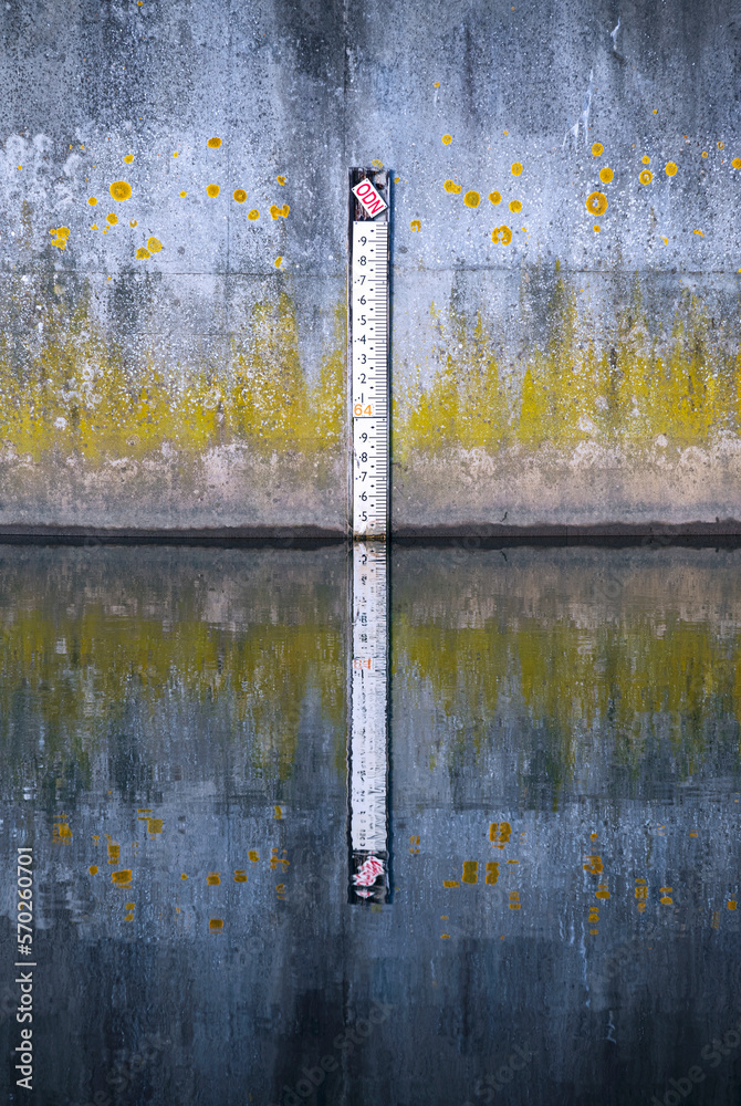 Water level depth meter ruler and its reflection on water against mossy ...