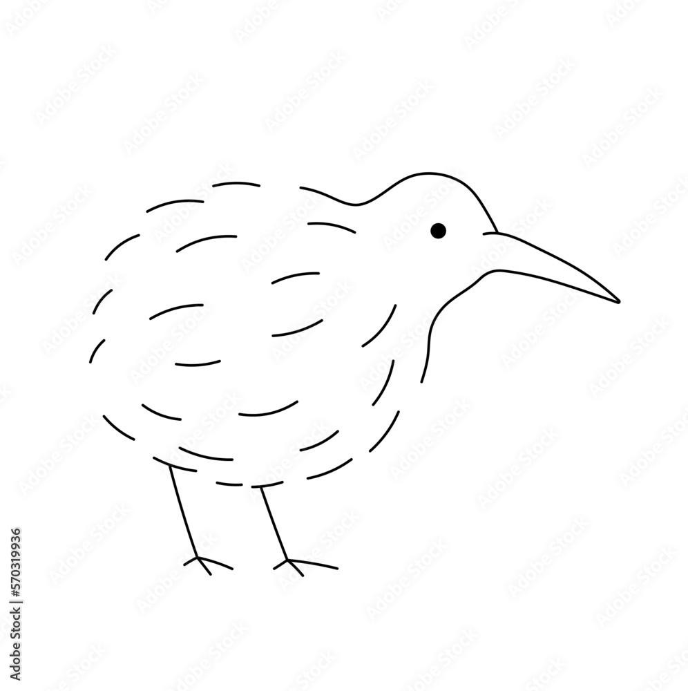 Vector isolated one cute cartoon little kiwi bird side view colorless ...