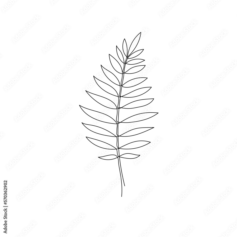 Line bay laurel leaf branch art. One continuous line art decorative bay ...