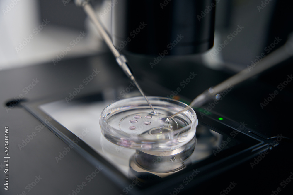 Poster Working with biomaterial using a micromanipulator in a ...