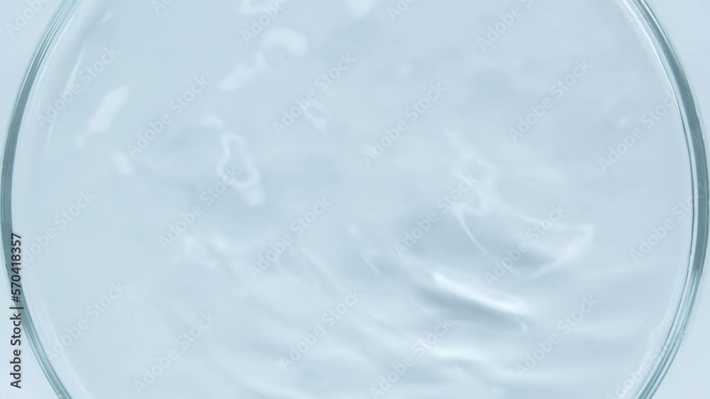 Top view. Petri dish with clear liquid. Reflection of light from ...