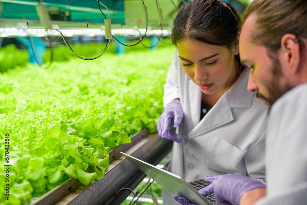 technology Smart farm IoT, Internet of things smart farm factory indoor ...