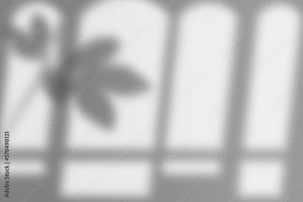 plant shadow overlay background leaves tropical branches, Shadow ...