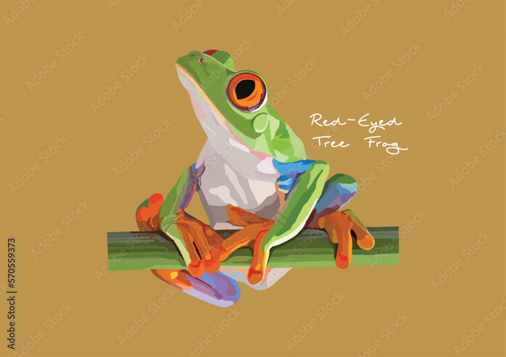 Vector Illustration of Red-Eyed Tree Frog, Frog Stock Vector | Adobe Stock
