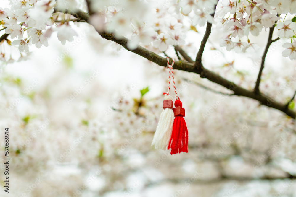 Bulgarian Martenitsa tied to a cherry tree branch. Symbol of national ...