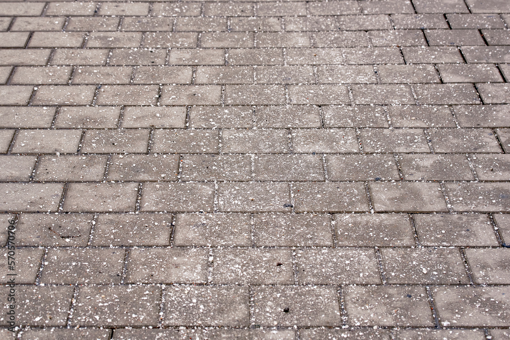 Salt grains on paving slabs in winter season. Sprinkle salt on icy ...
