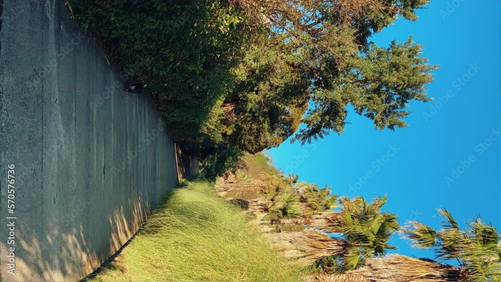 SOCHI, RUSSIA - January 2023: The territory of the park in the city of ...