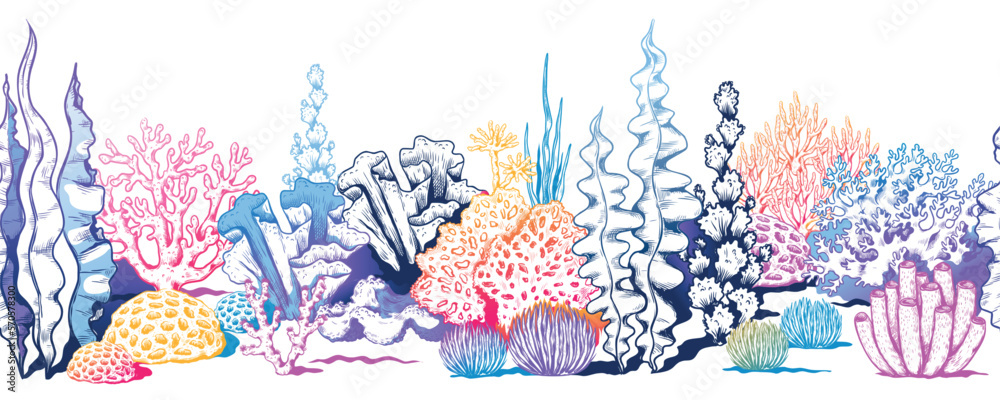 Coral reef pattern, sea water. Tropical border, red ocean animals ...