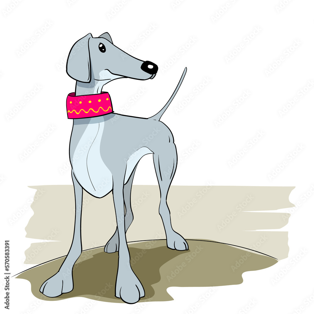 Galgo con un collar de galgo ancho de colores vivos sonriente y feliz ...