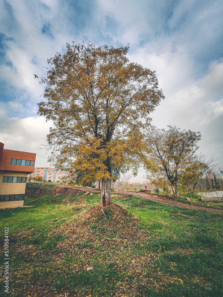 landscape in Setif Algeria and sunset sky with clouds. The beautiful ...