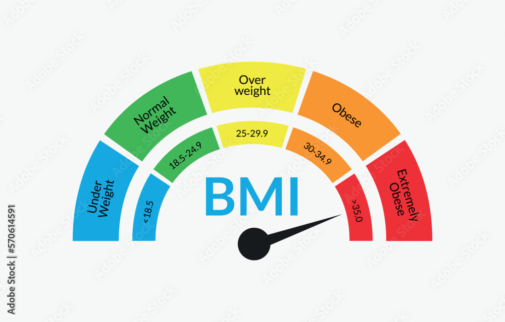 Body Mass Index Infographic Chart. Colorful BMI Chart Vector ...