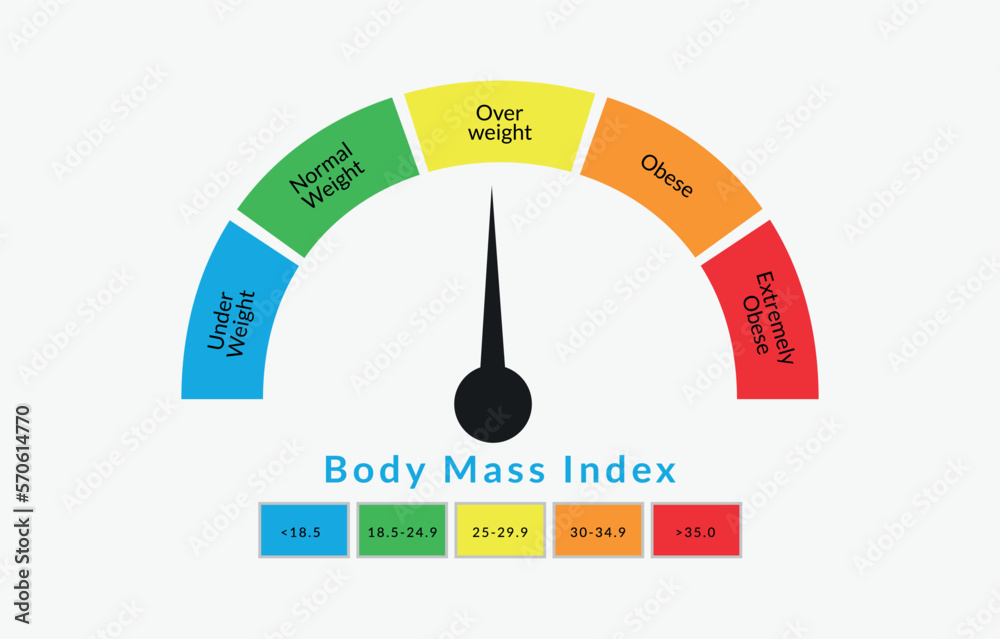 Body Mass Index Infographic Chart. Colorful BMI Chart Vector ...
