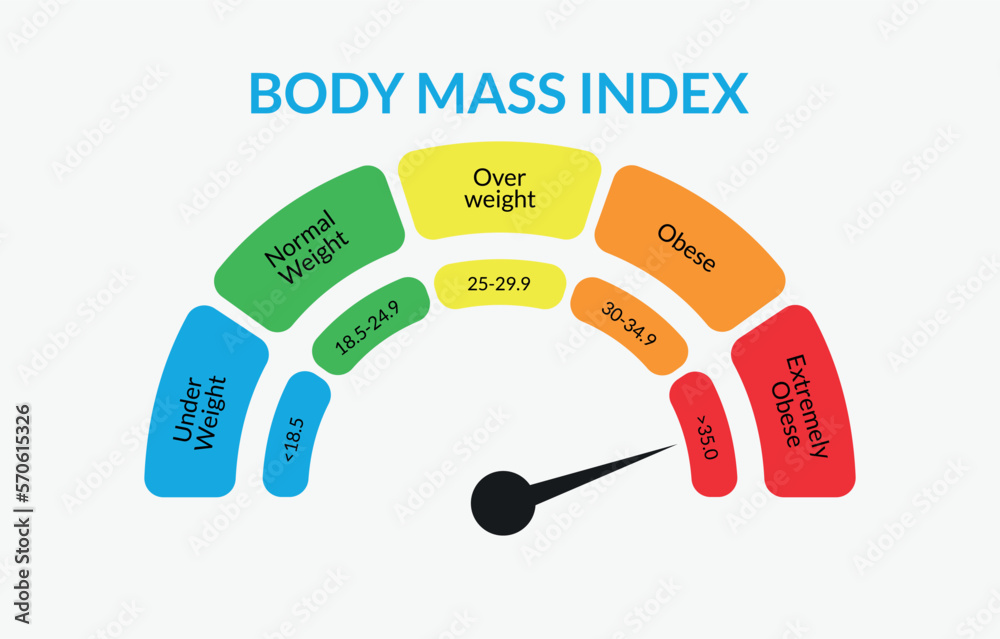 Body Mass Index Infographic Chart Colorful Bmi Chart Vector Illustration With White Isolated