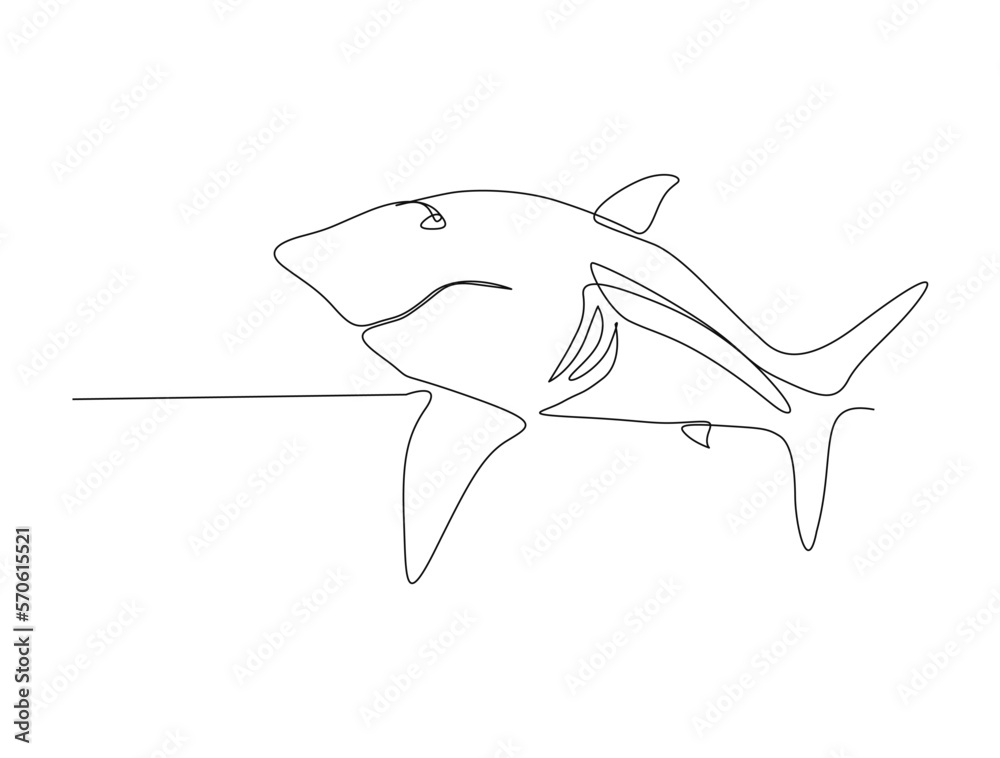 Continuous one line drawing of shark fish. Simple illustration of ...