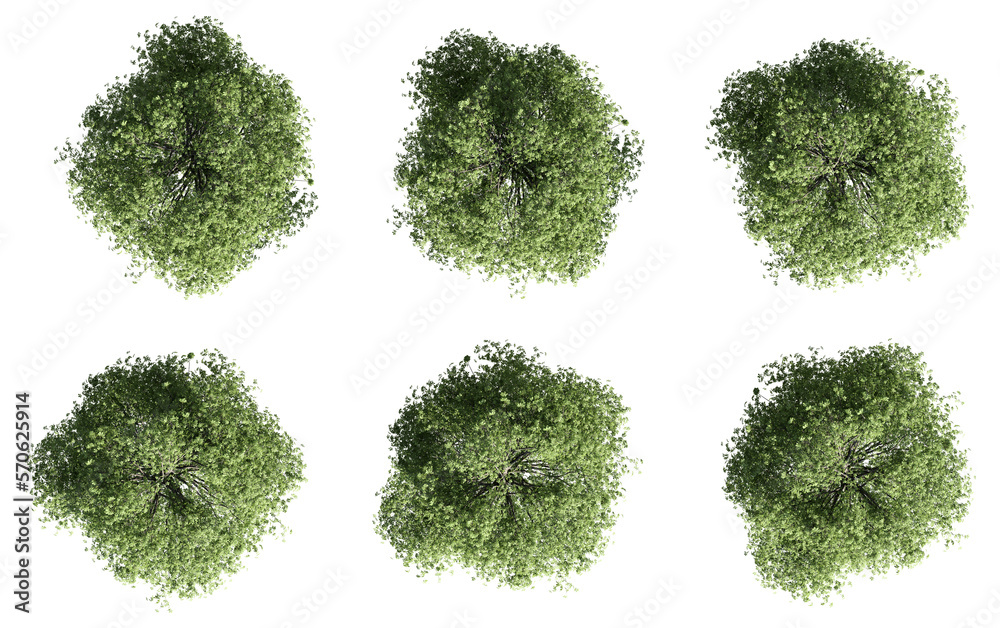 set of trees rendered from the top view, 3D illustration, for digital ...