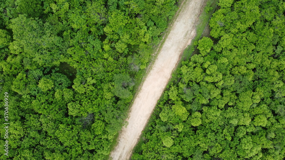 paisagem da caatinga no inverno, caatinga no inverno, caatinga verde ...