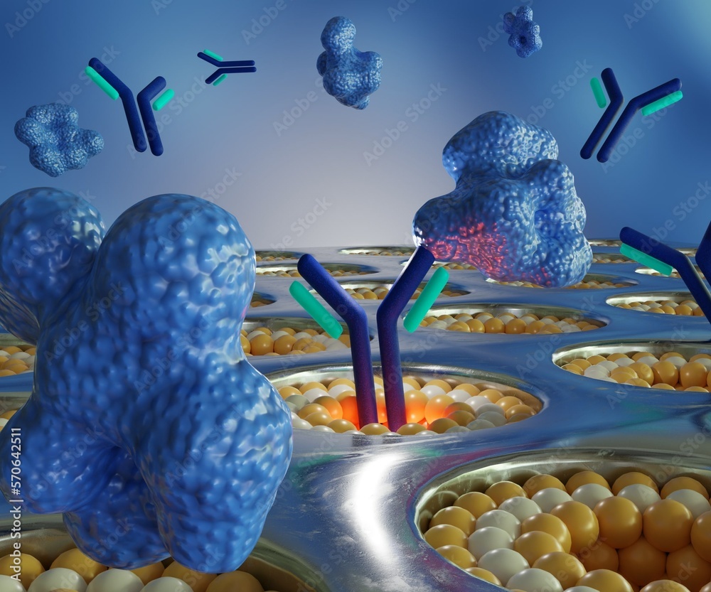 proteins as analytes conjugate on antibody molecule or receptor flow ...