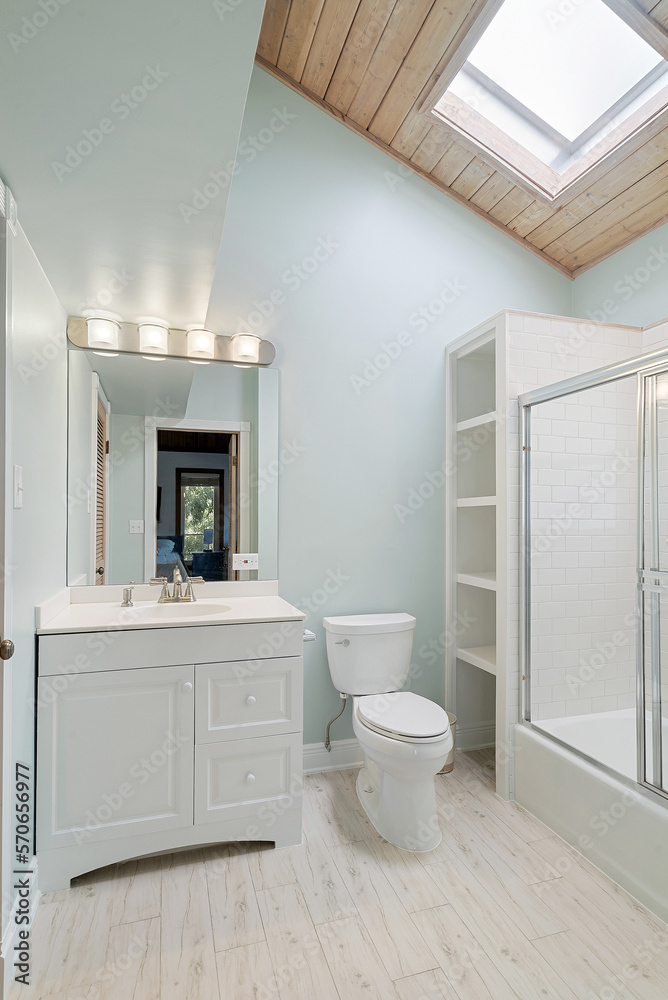 White bathroom details with skylight and wood tongue groove ceiling ...