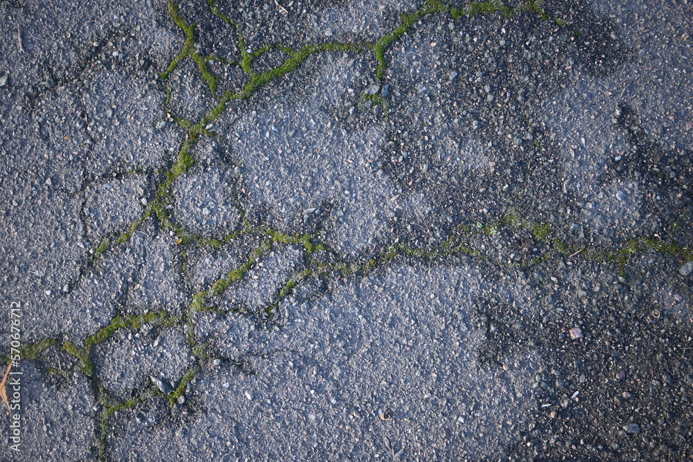 fissure on gray asphalt, gray asphalt erosion, soil split from tree ...