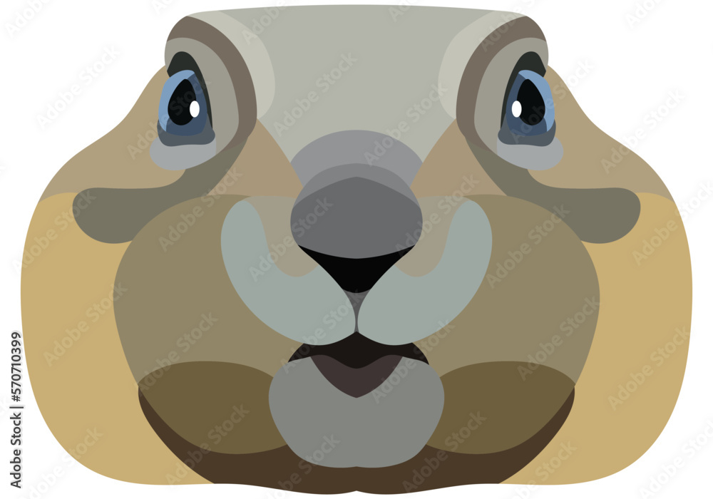 Gopher face. An illustration of a muzzle of a rodent is depicted ...