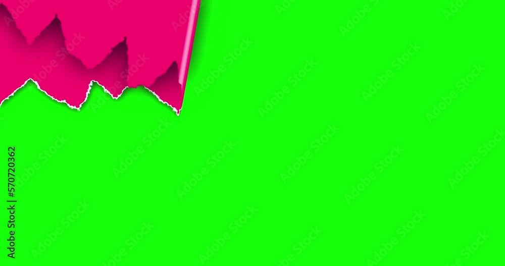 Ripping paper animation. 4K looped torn paper animation. pink Sheet of ...