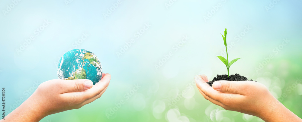 ESG concept: World and tree in human hand on nature background ...