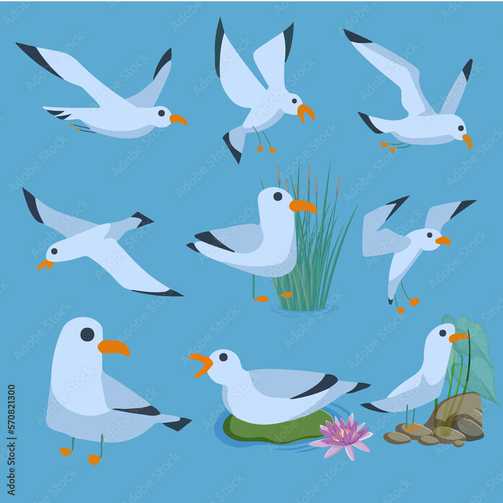 on the water and standing seagulls cartoon set, Flying Duck, Flying ...