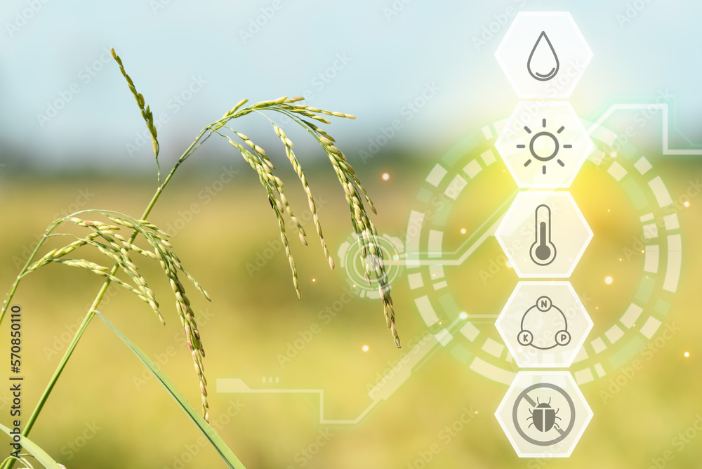 Smart farm digital icon and futuristic AI data infographic of Landscape ...