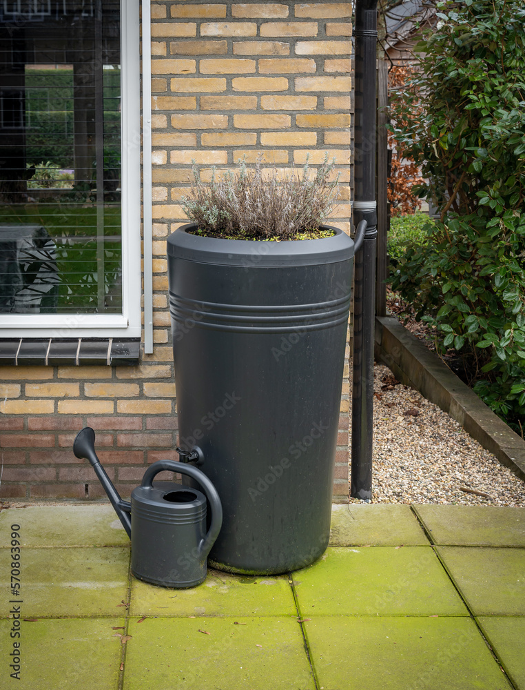 Plastic rain barrel with plants attached to the drainage of modern ...