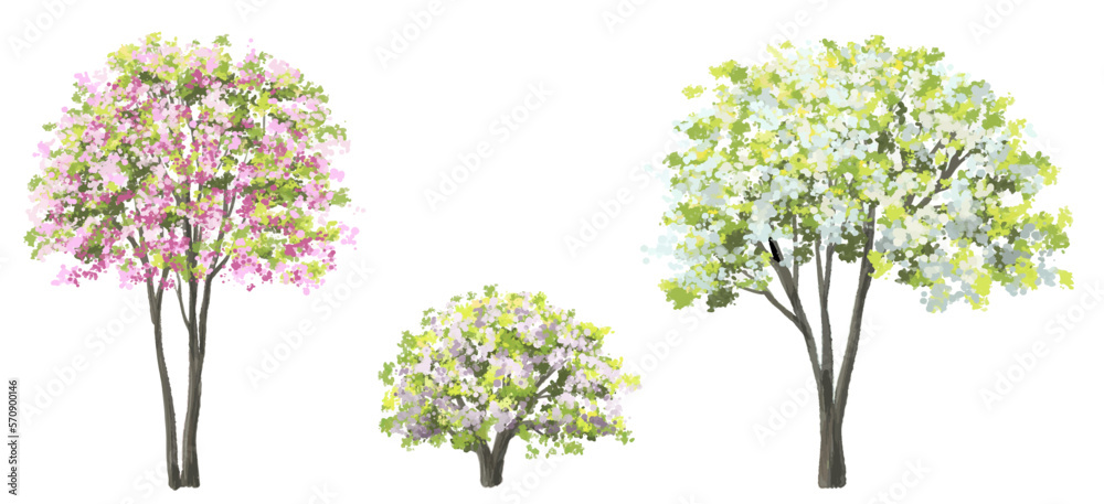 Vector watercolor of blooming tree top view isolated for landscape ...