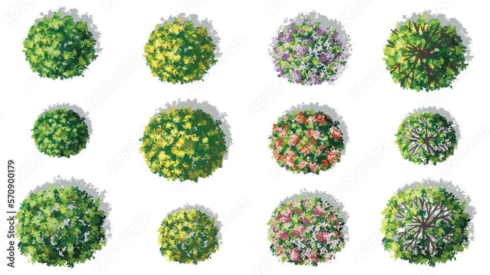 Vector watercolor of blooming tree top view isolated on white ...