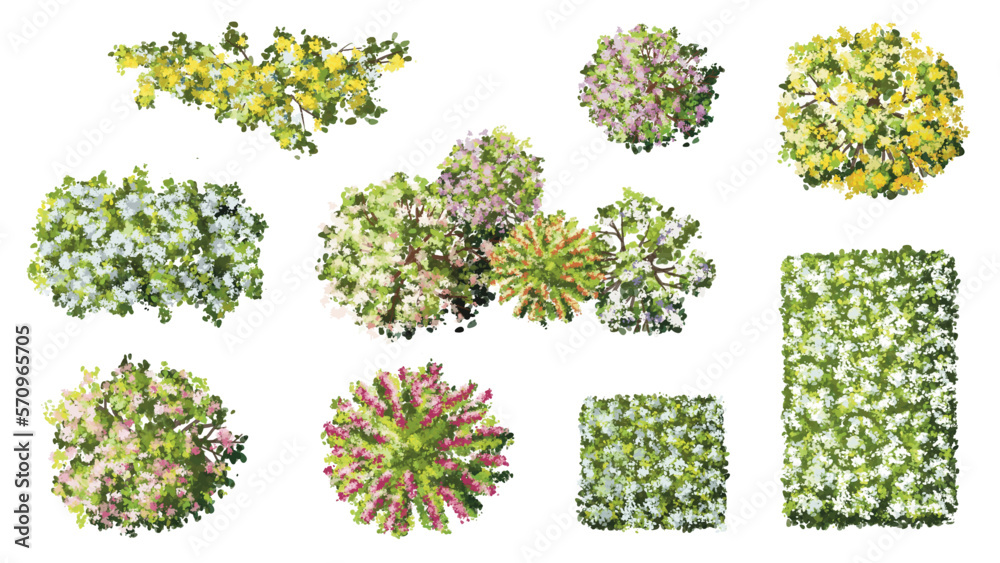 Vector watercolor of blooming tree top view isolated on white ...