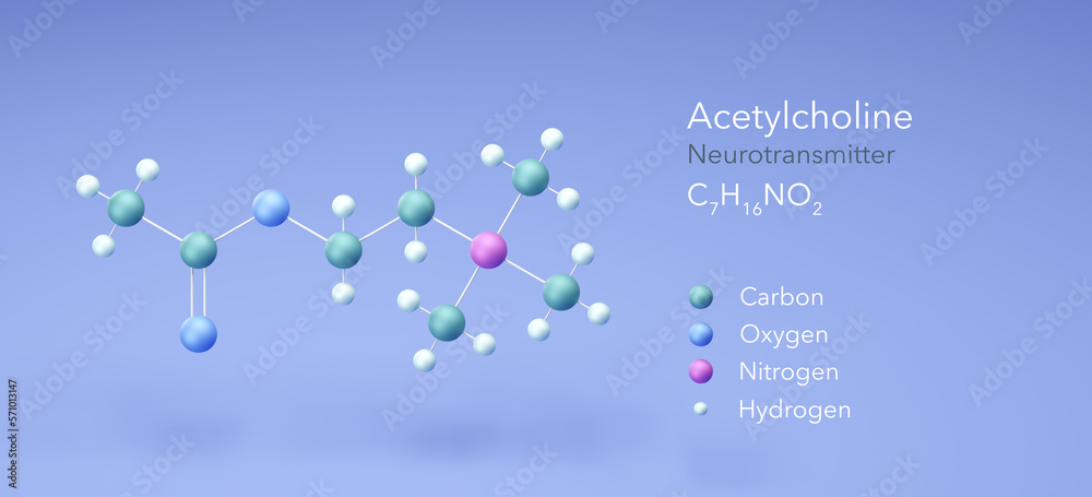 acetylcholine molecule, molecular structures, Neurotransmitter, 3d ...