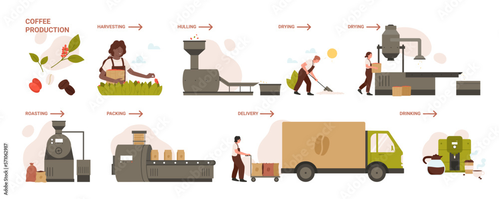 Stages of coffee production infographic set vector illustration ...